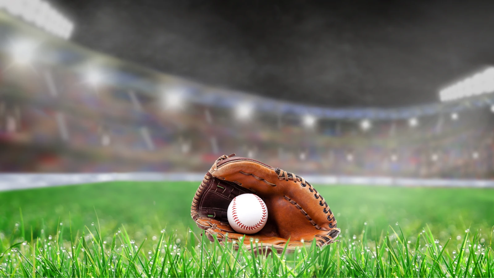Baseball Fans | OpenX