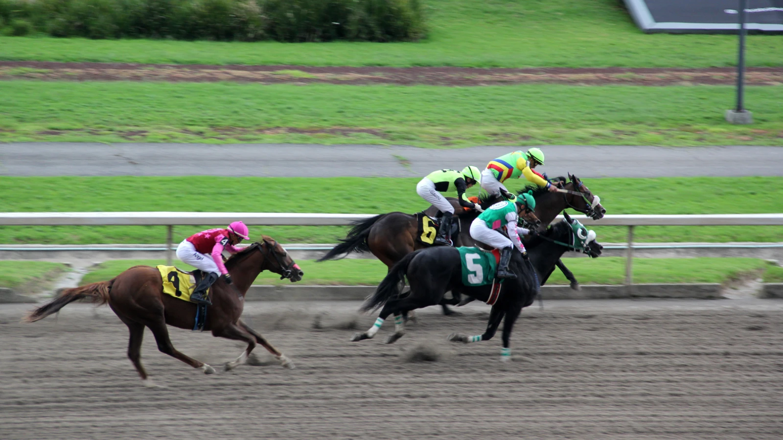 Horse Racing | OpenX